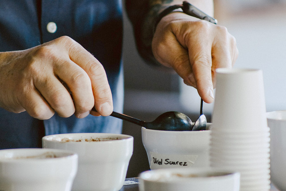 What is a Coffee Score? – Progeny Coffee